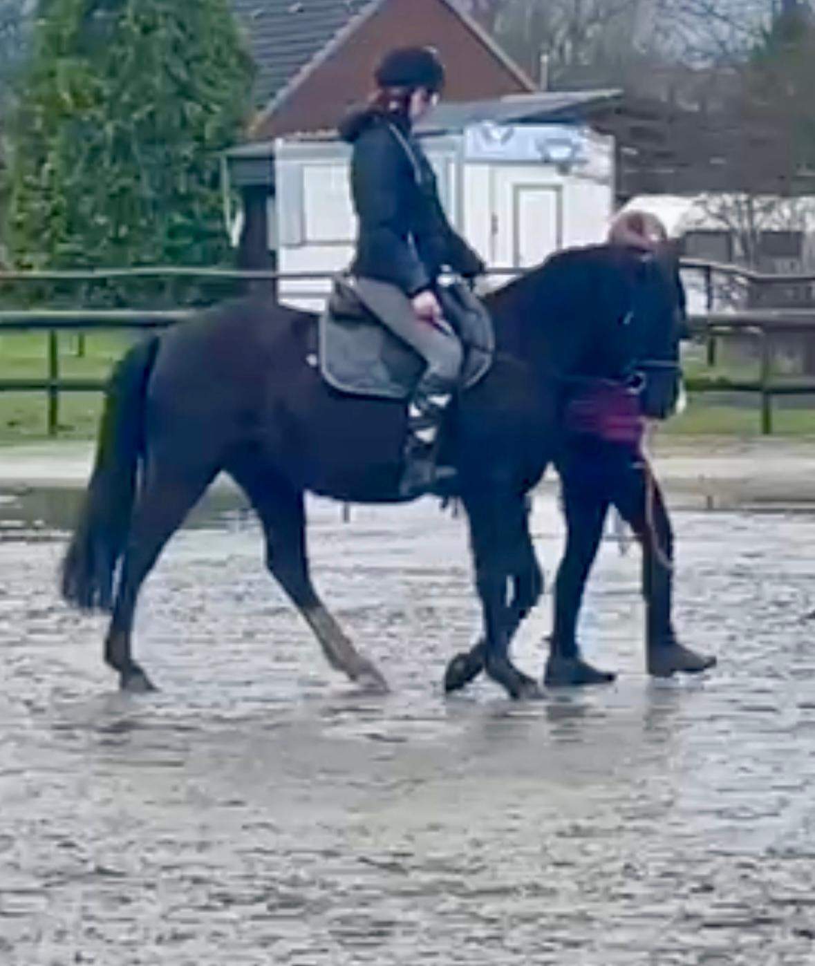 Bin ich zu groß für das Pony? (Pferd, Größe)