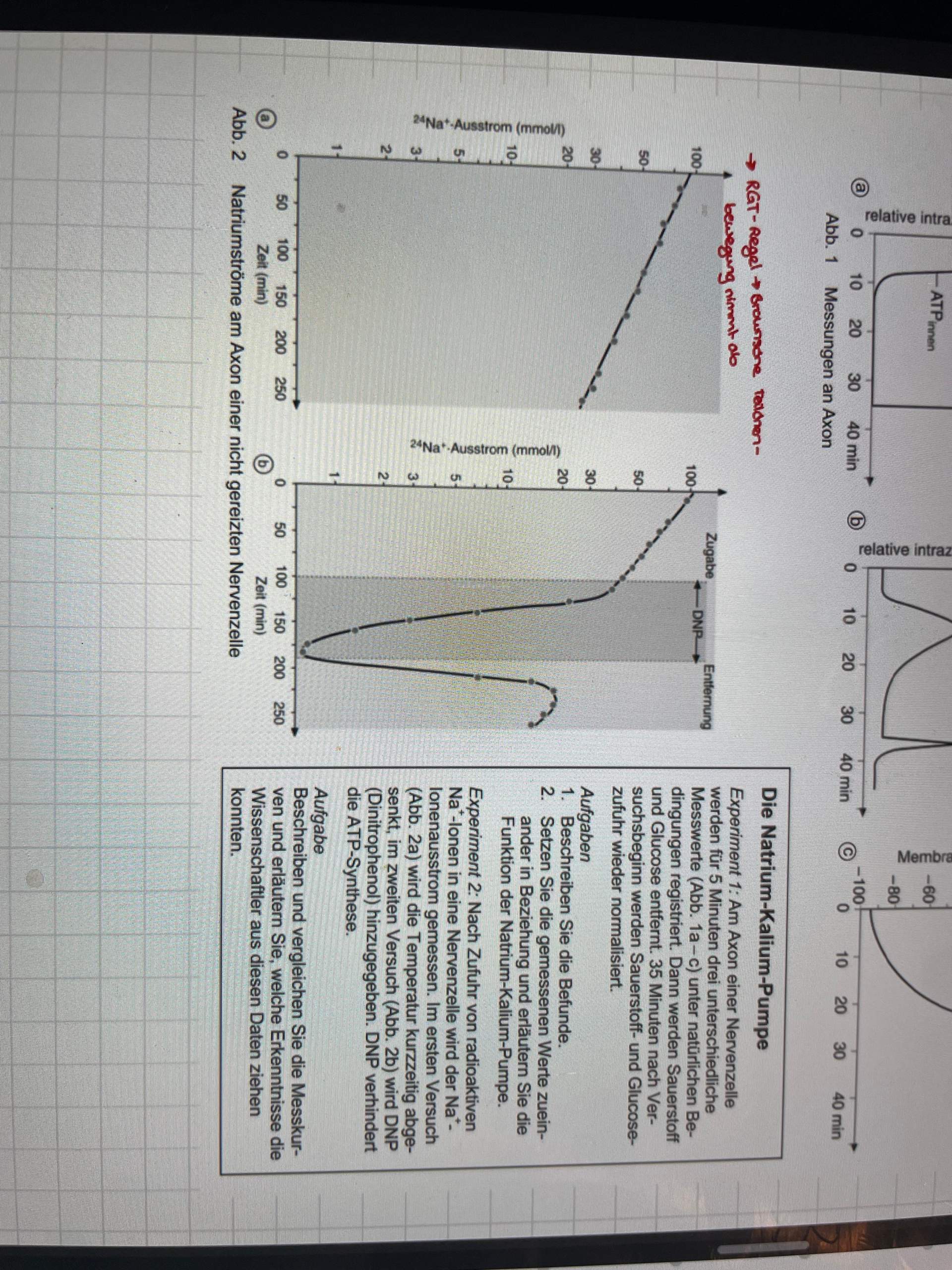 Bio- Natrium Kalium Pumpe? (Schule, Biologie, Lernen)