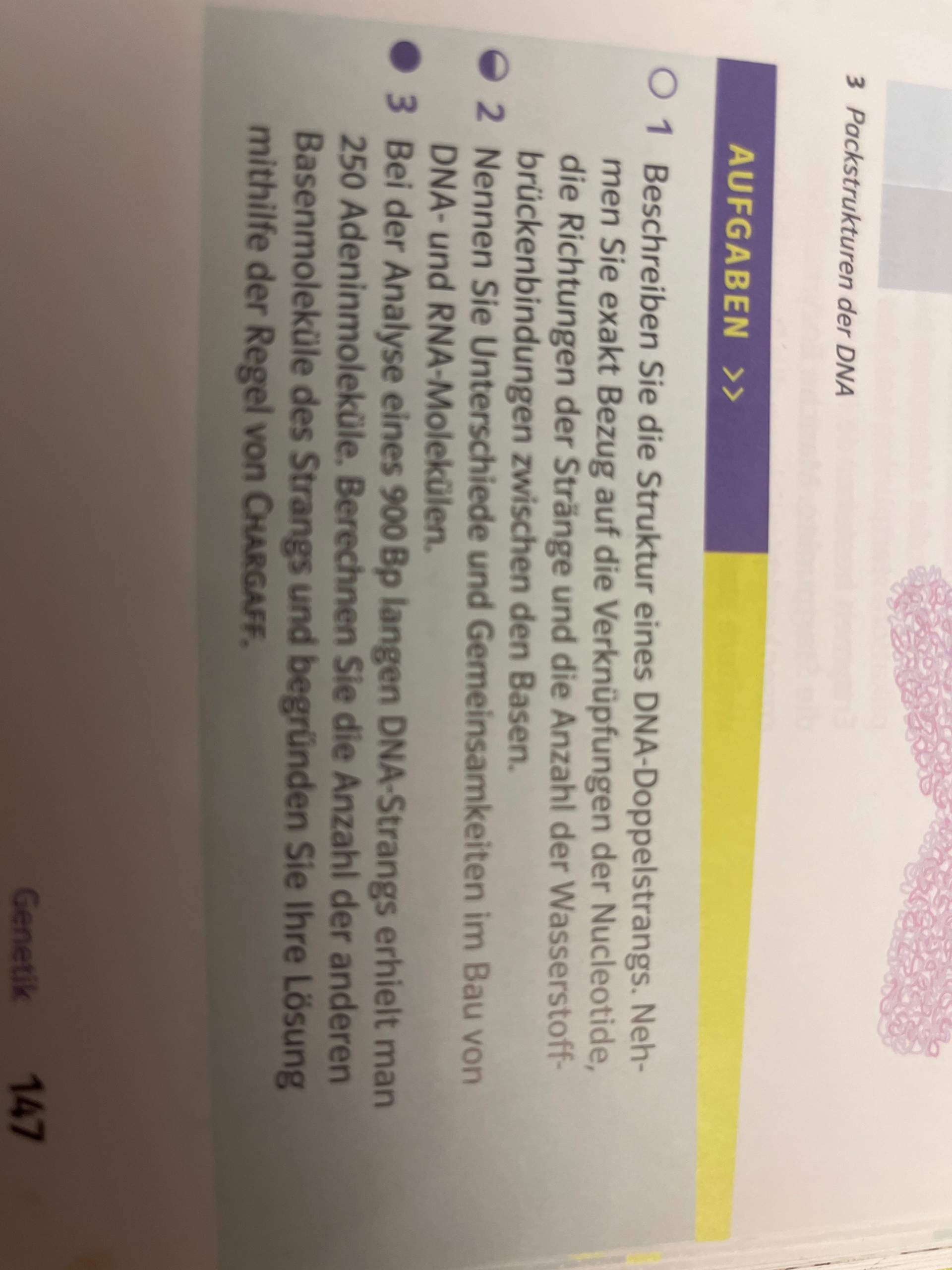 Biologie Genetik, Basenpaare? (Bio, DNA, Biochemie)