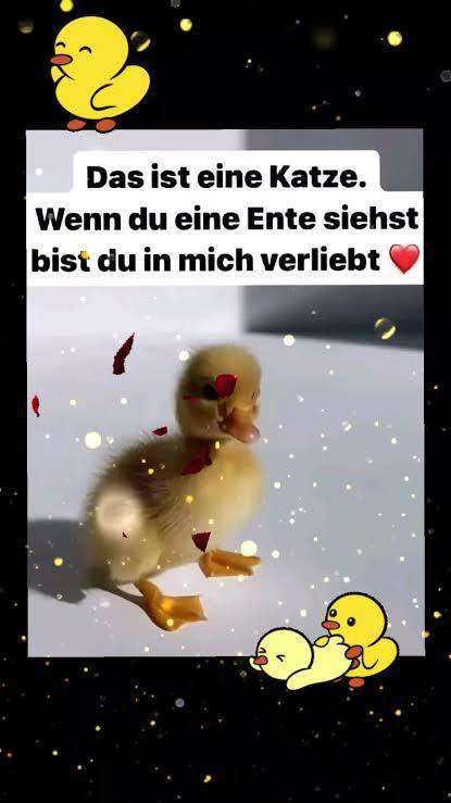 Bist auch verliebt? (Meme)