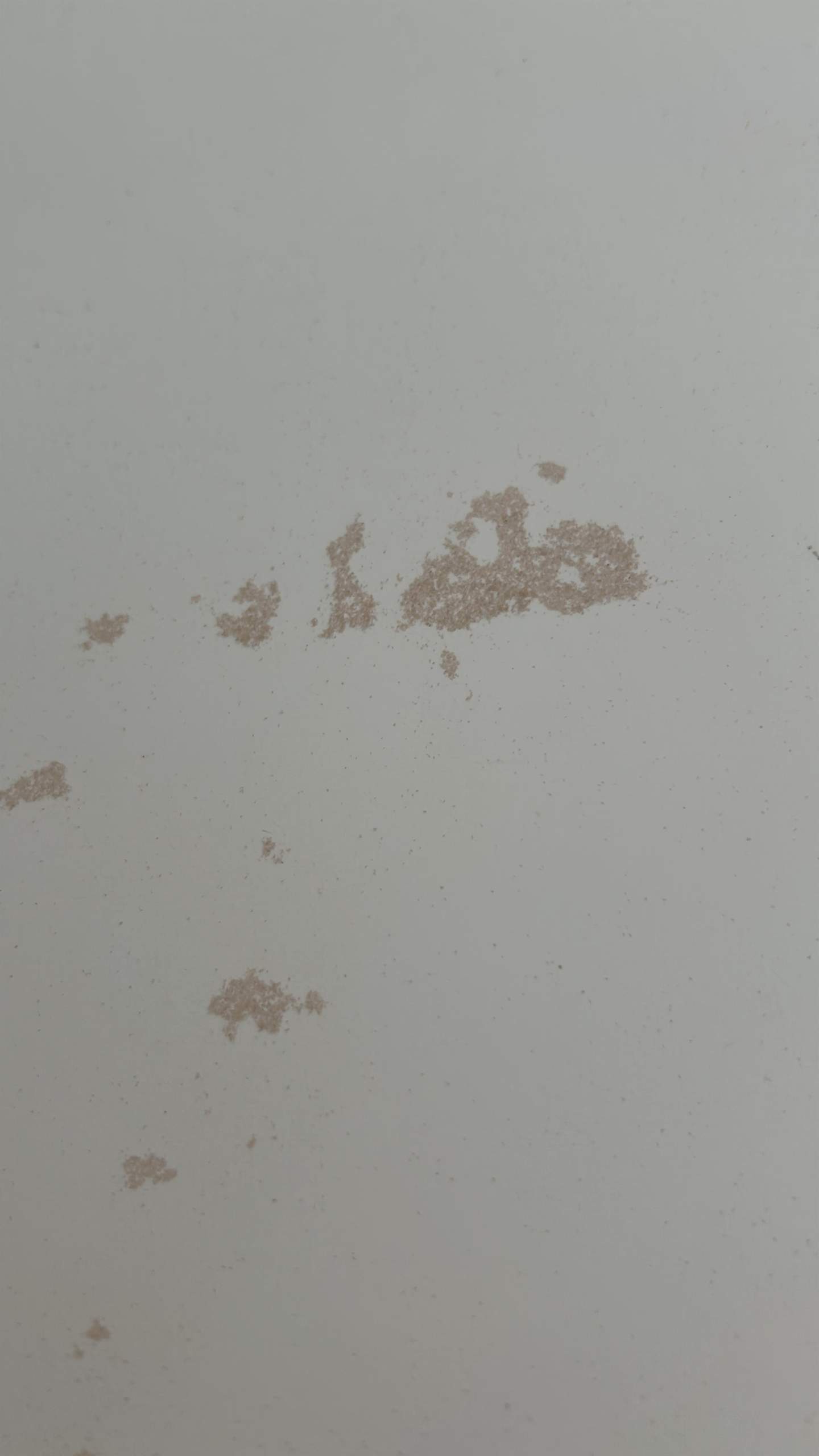 Bräunliche Krümel Flecken in Küche? (Schädlinge, Fliege, Motten)