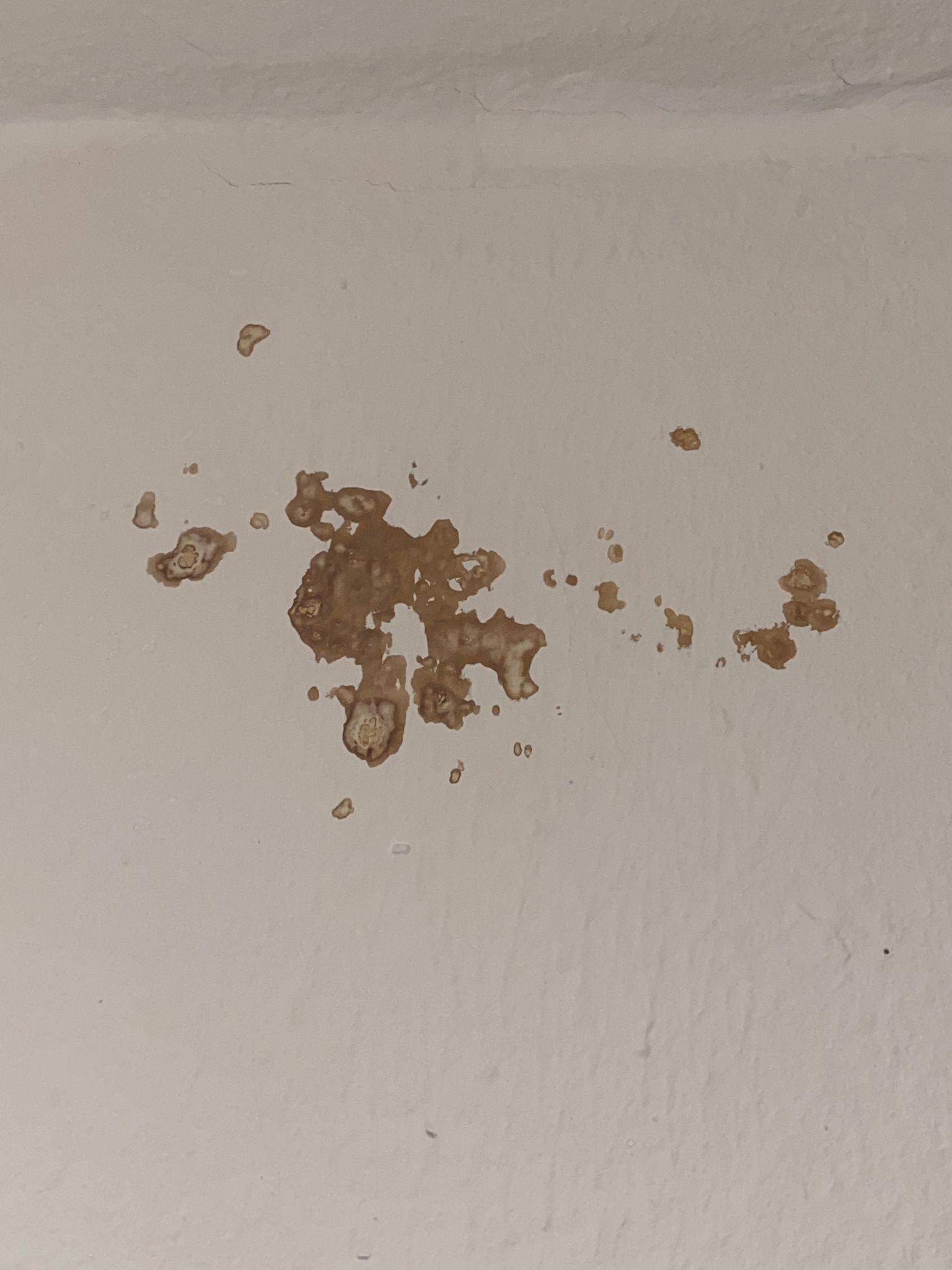 Braune Flecken An Der Wand