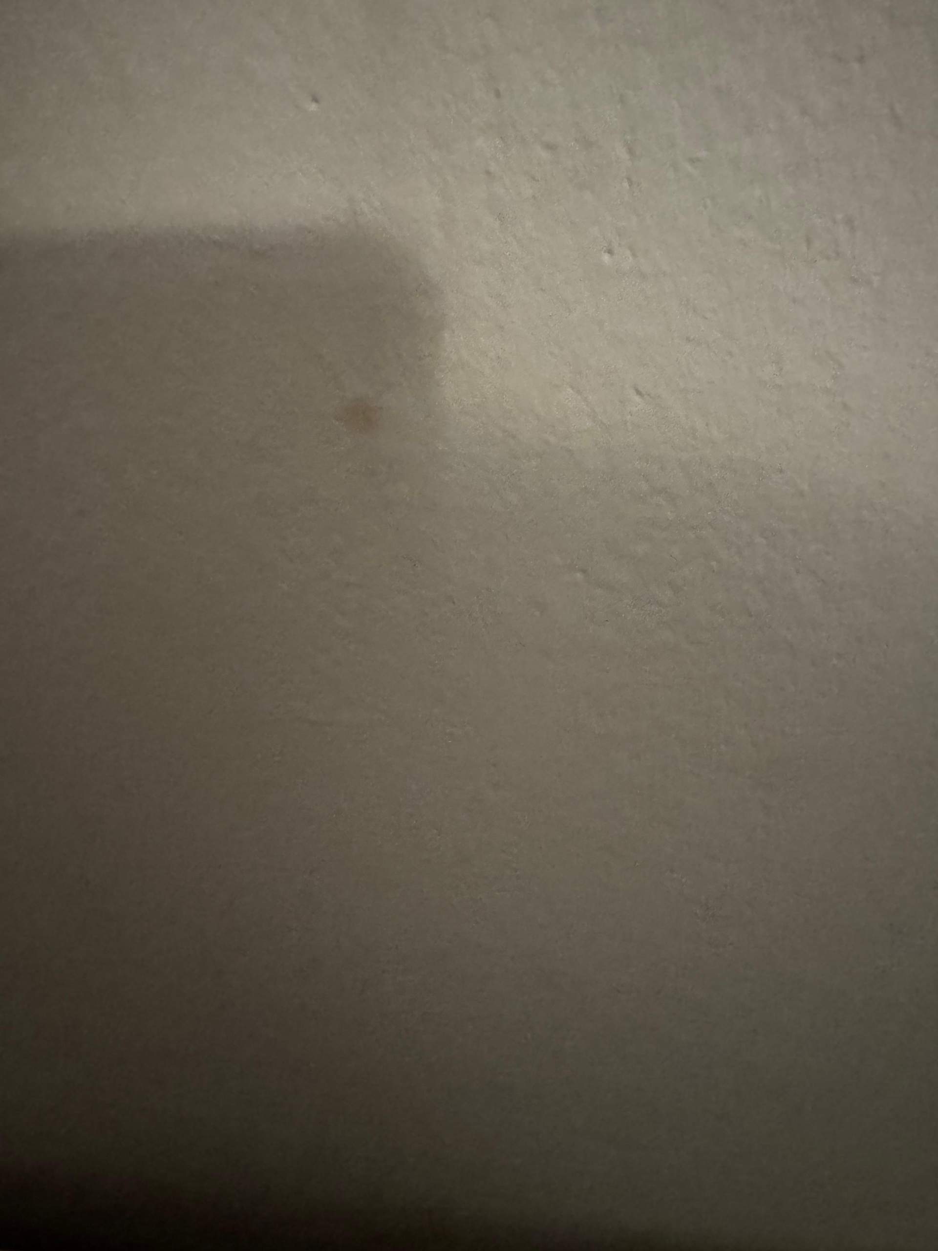 Kleine Braune Punkte An Der Wand