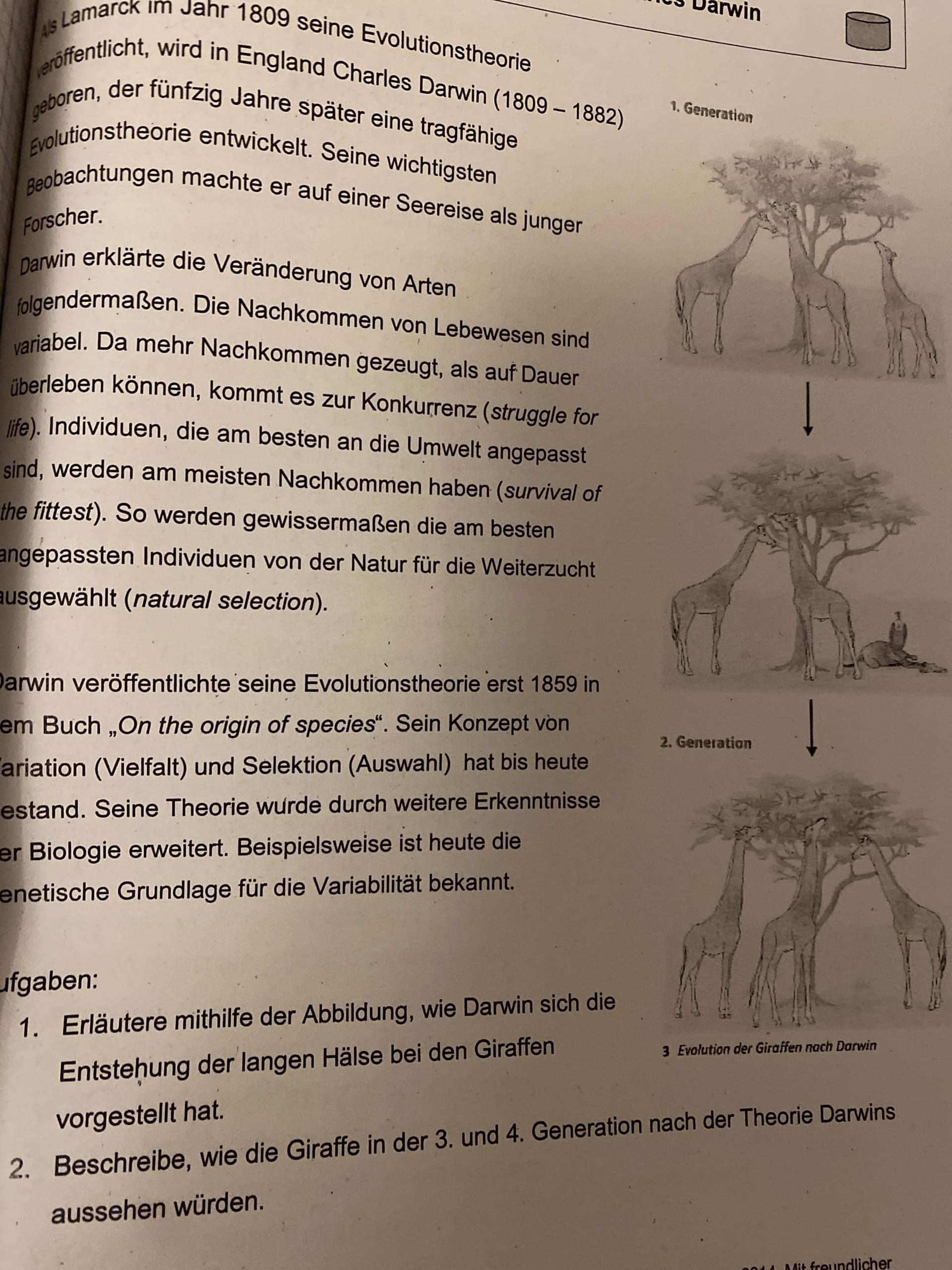 Charles Darwin Evolutionstheorie erklärt? (Tiere, Geschichte, Chemie)