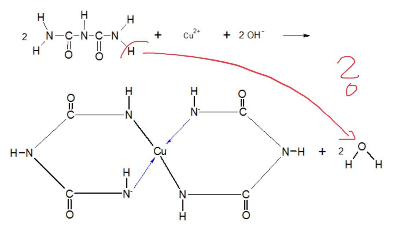 Chemie Biuret-Probe? (Wasser, Reaktion, Atom)