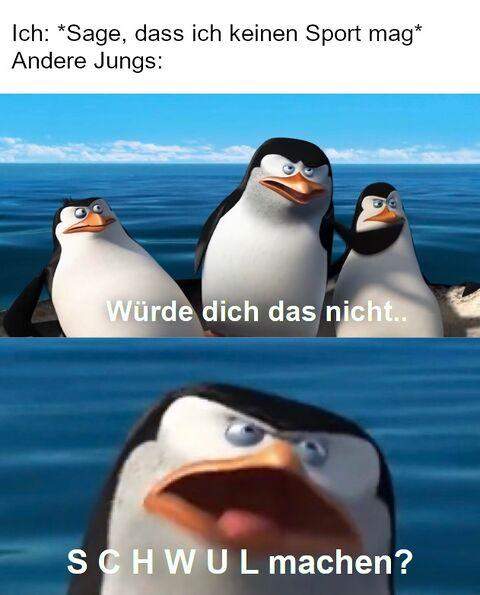 Daily Dose of Memes (Meme, Memeseite)