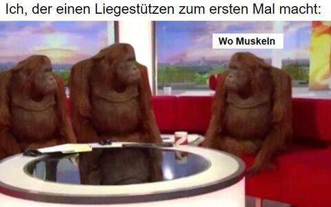 Daily Dose of Memes (Meme, Memeseite)