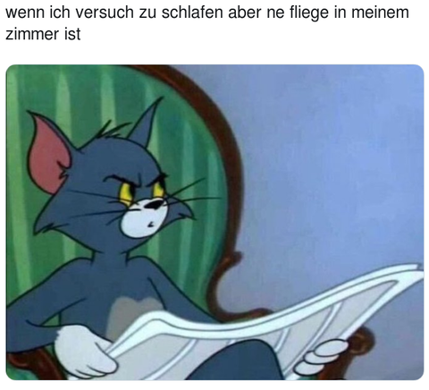 Daily Dose of Memes (Meme, Memeseite)