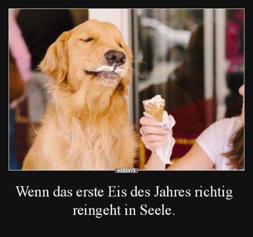 Das Eis ist so lecker 😋 findet ihr nicht auch? (Meme)