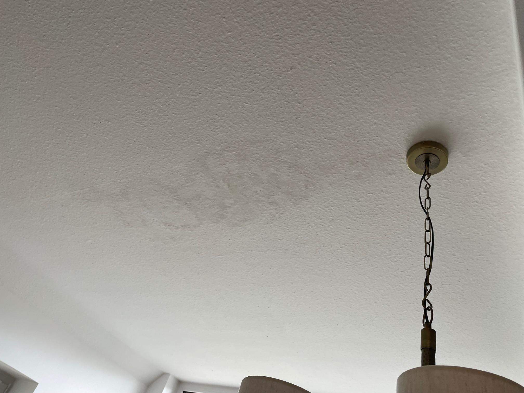 Decke mit Bio-Silikatfarbe ausgebessert, nun fleckig? (Farbe, Flecken ...