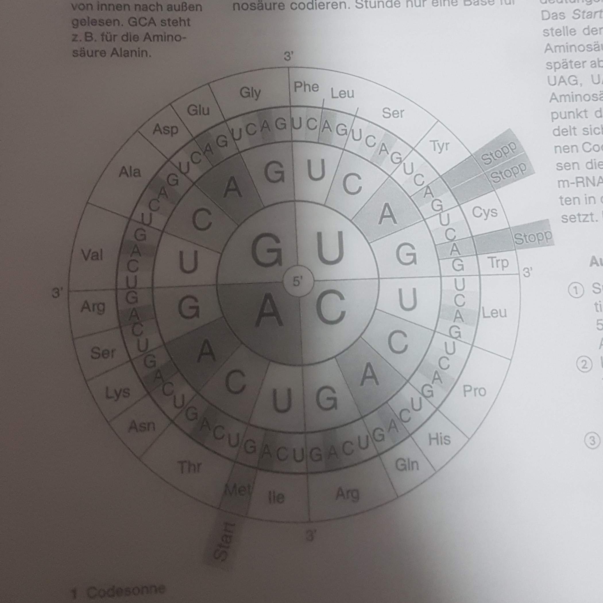 Der GENETISCHE CODE (aufgabe)? (Biologie, Genetik)