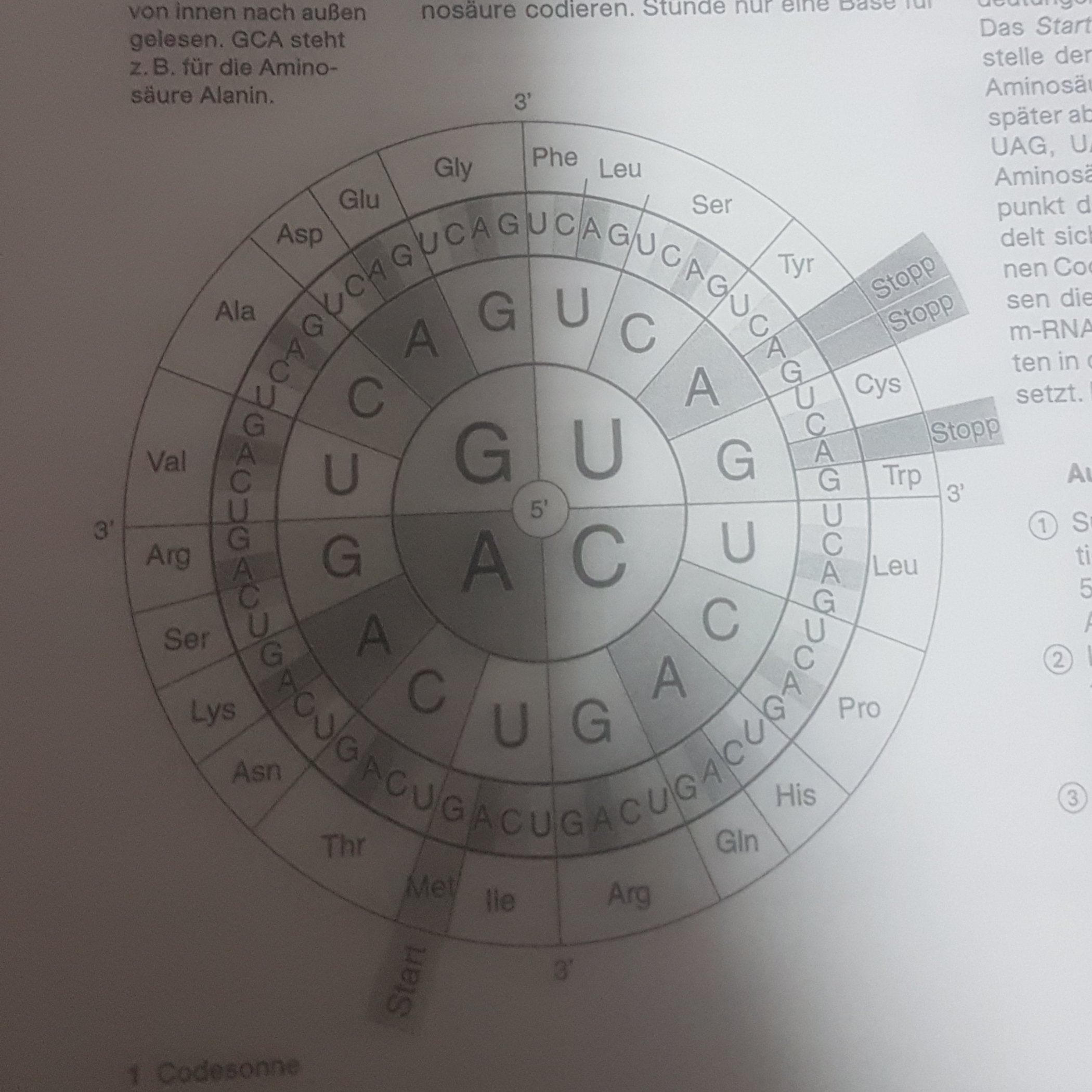 Der GENETISCHE CODE (aufgabe)? (Biologie, Genetik)