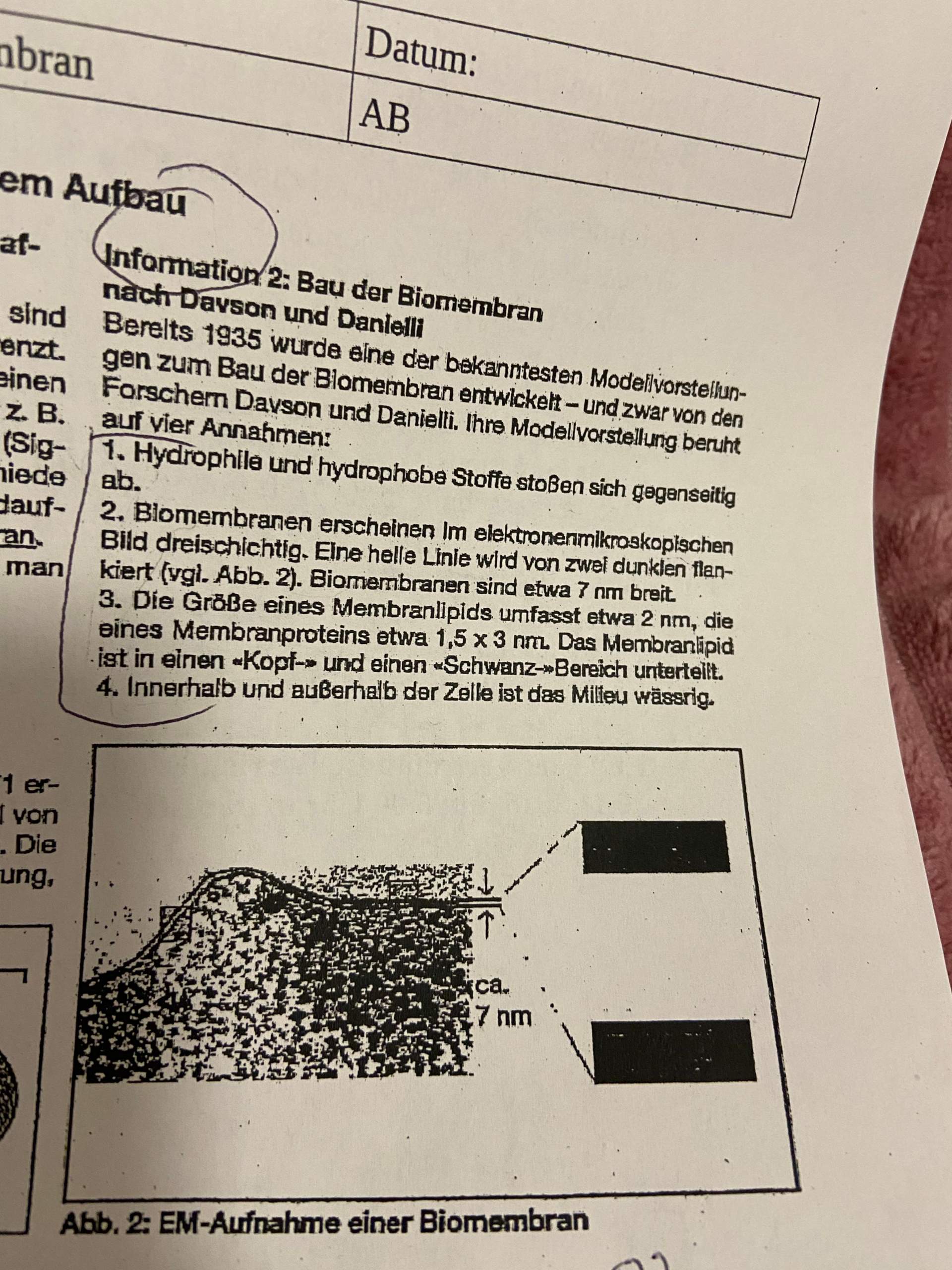 Die Biomembran? (Bio, Biologieunterricht, Membran)