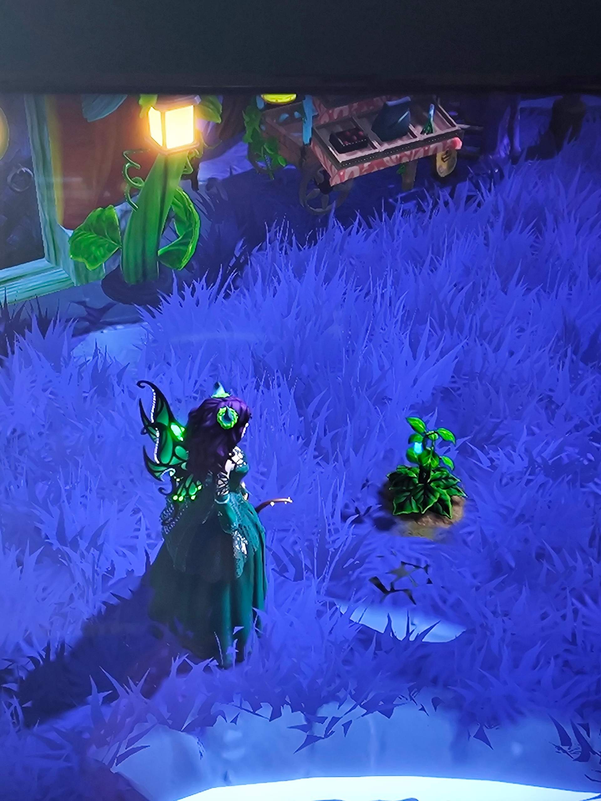 Disney dreamlight valley? (PlayStation 5)