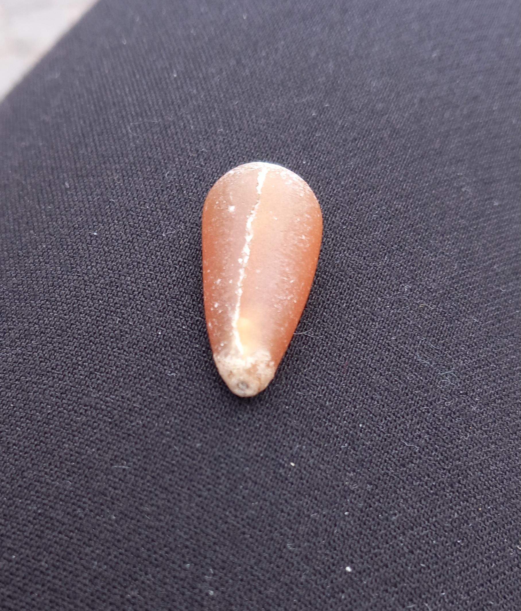 Donnerkeil oder Stein? (Steine, Fossilien)