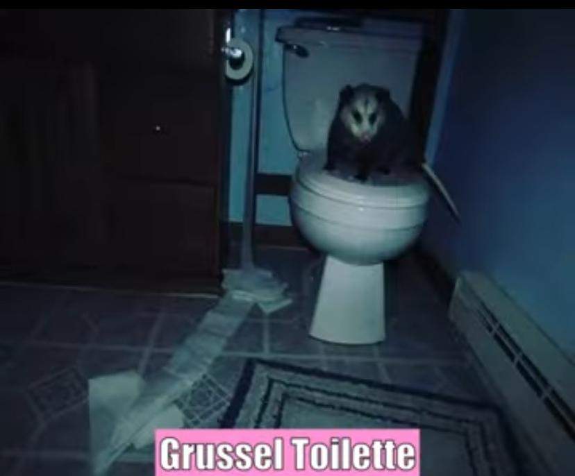 Du musst dringend aufs Klo und hast nur diese Optionen (Toilette, gruselig)