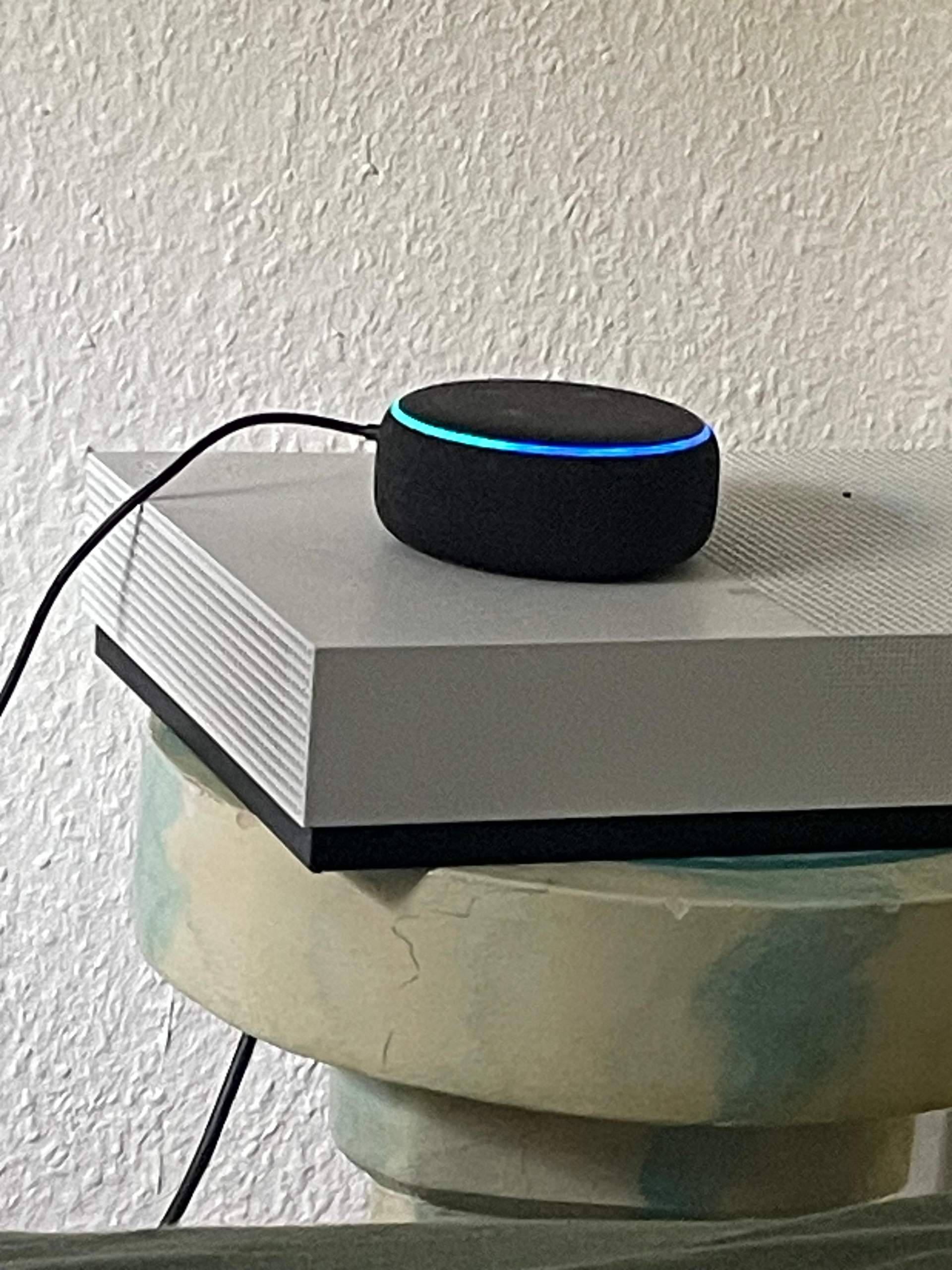 Echo dot? (PC, Handy, Amazon)