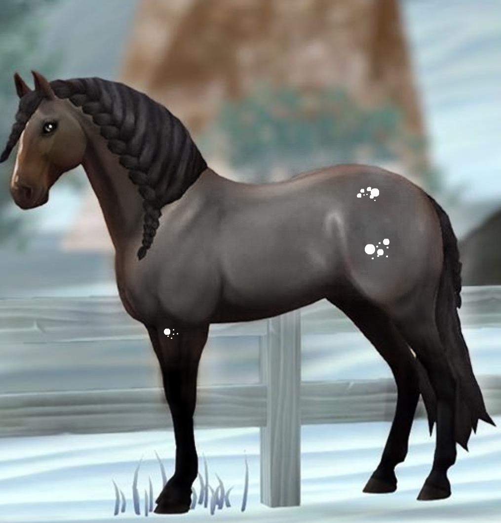 Edits Pferde sso? (Star Stable, Edit, so)