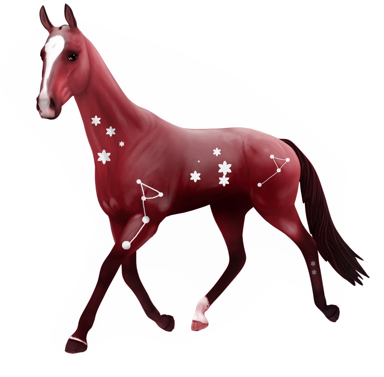 Edits Pferde sso? (star-stable, Star Stable Online, so)