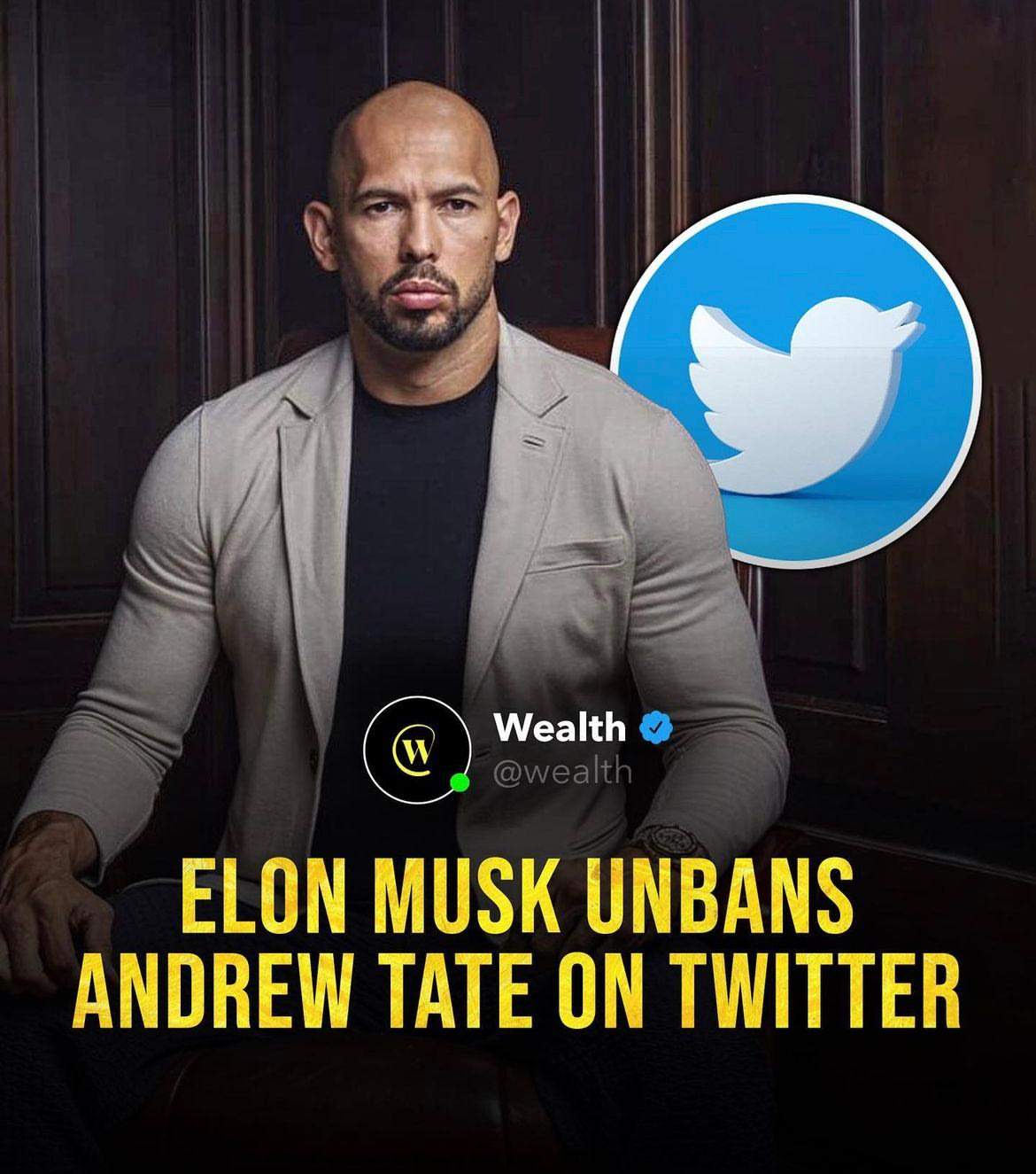 Elon Musk befreit Andrew Tate auf twitter? (Instagram, Social Media, X ... Elon Musk befreit Andrew Tate auf twitter? (Instagram, Social Media, X ...