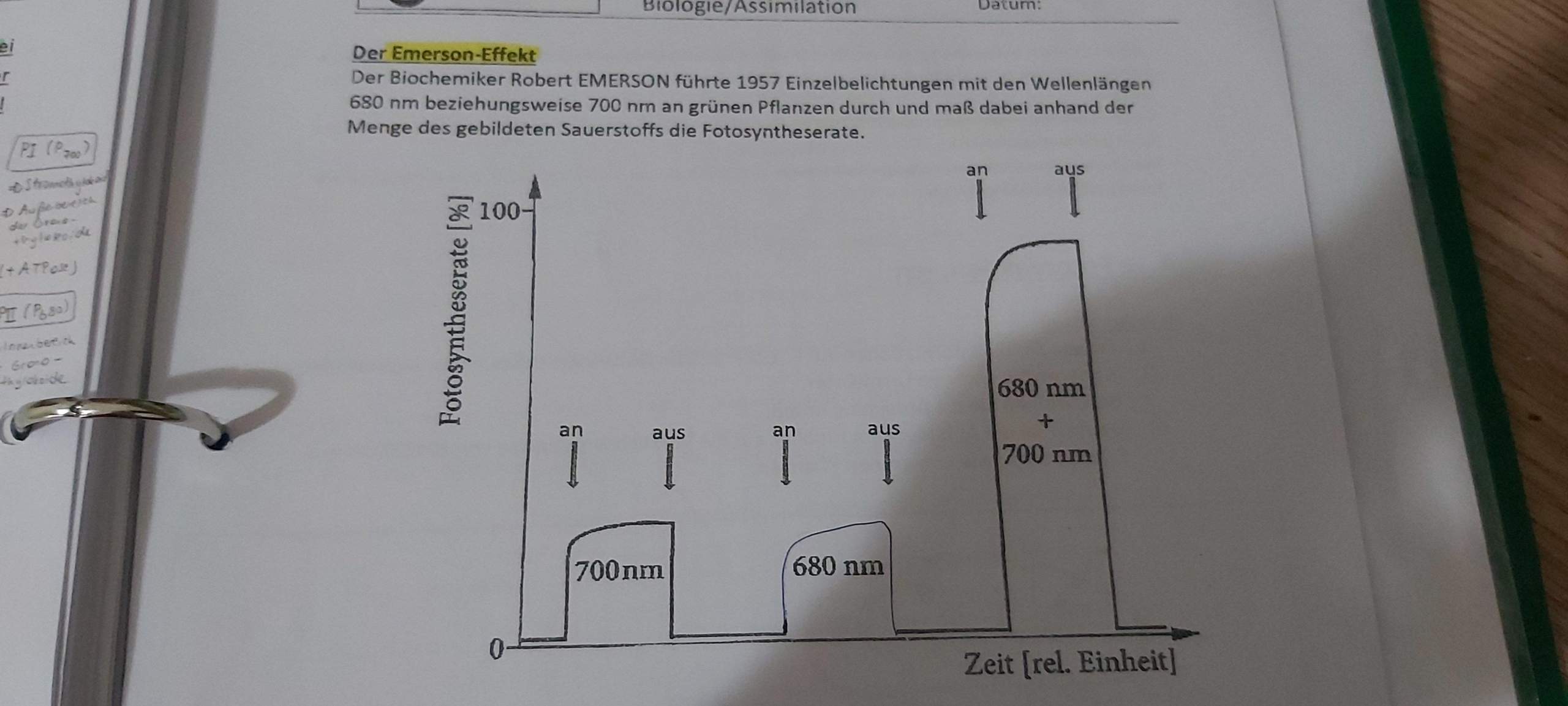 Emerson Effekt Fotosyntheserate? (Physik, Biologie, Licht)