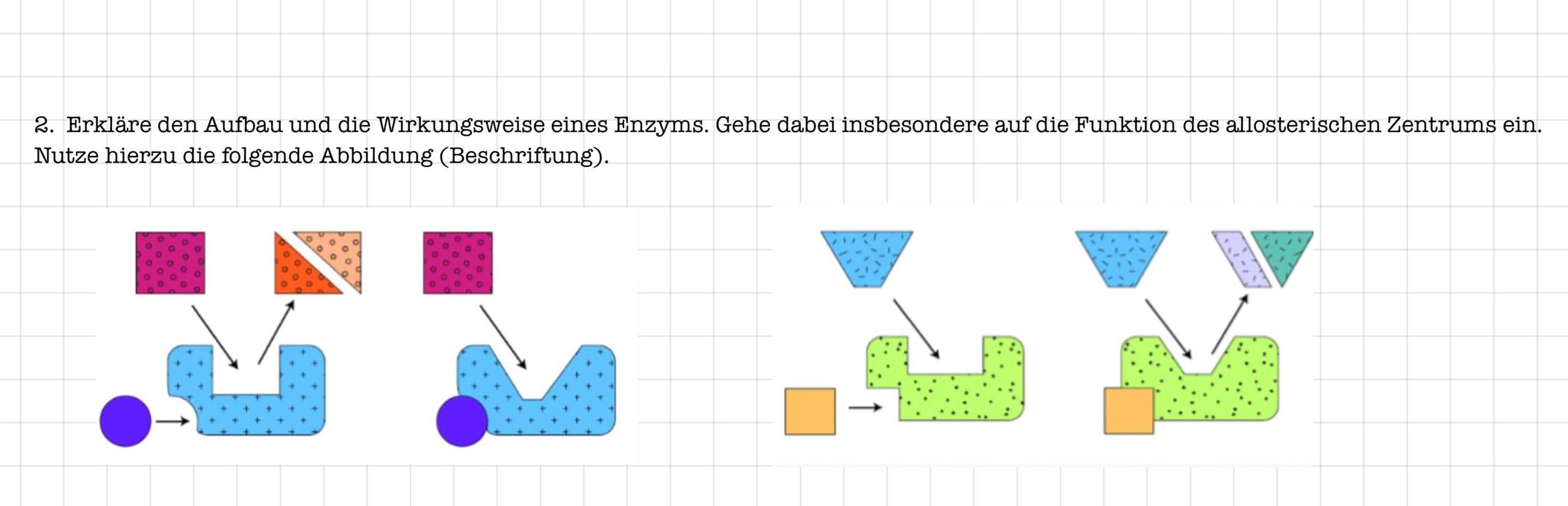 Enzyme: Bau und Funktion? (Schule, Chemie, Biologie)