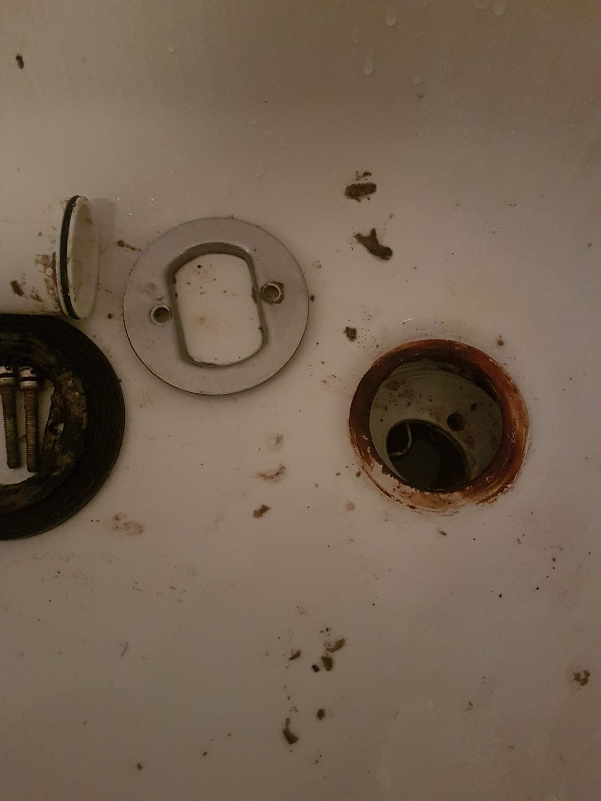 Es kommt Zugluft aus der Duschabfluss, ist das normal (mit Bild ...