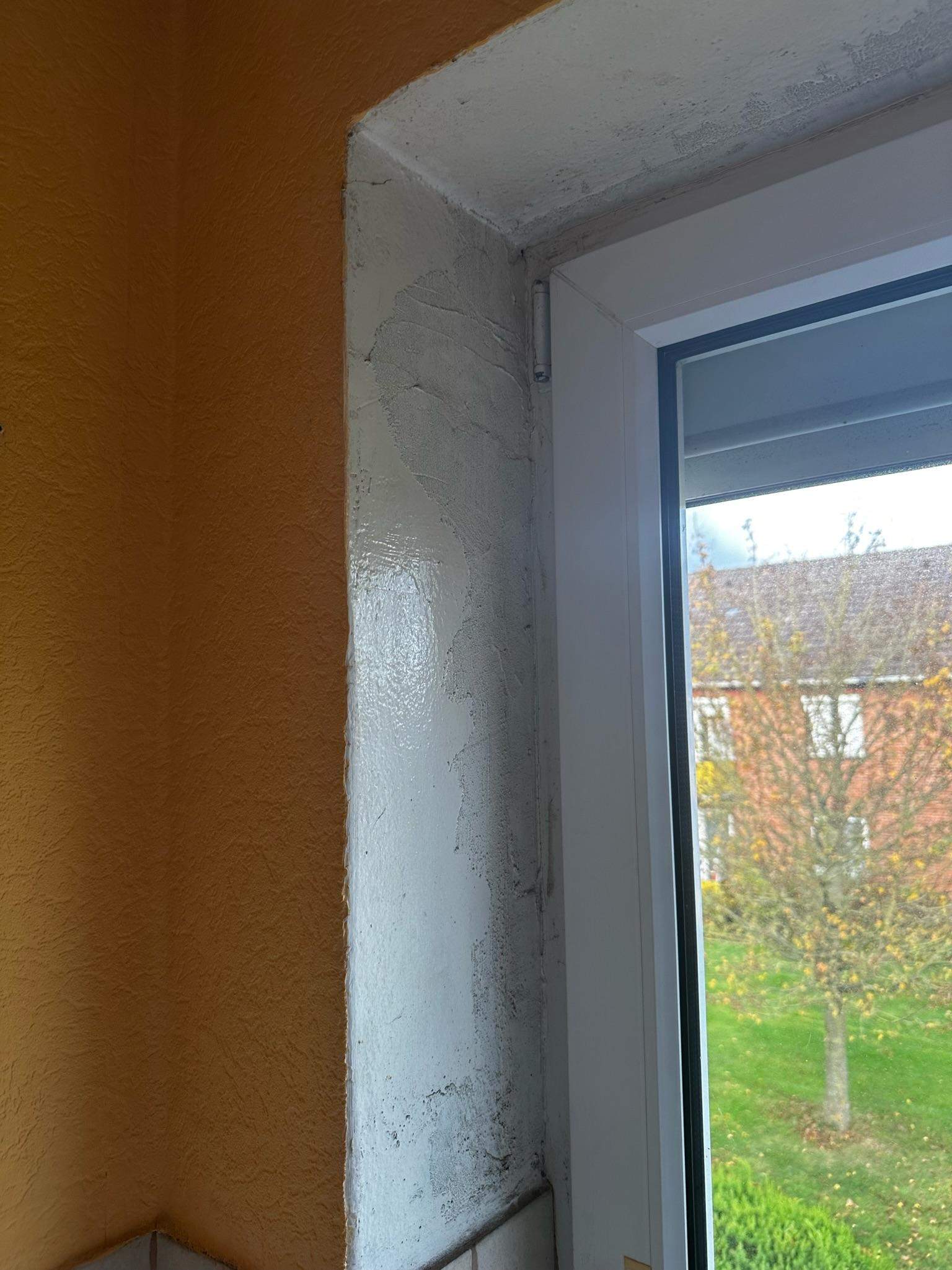 Stilvolle Fensterlaibung Farblich Absetzen Fotos