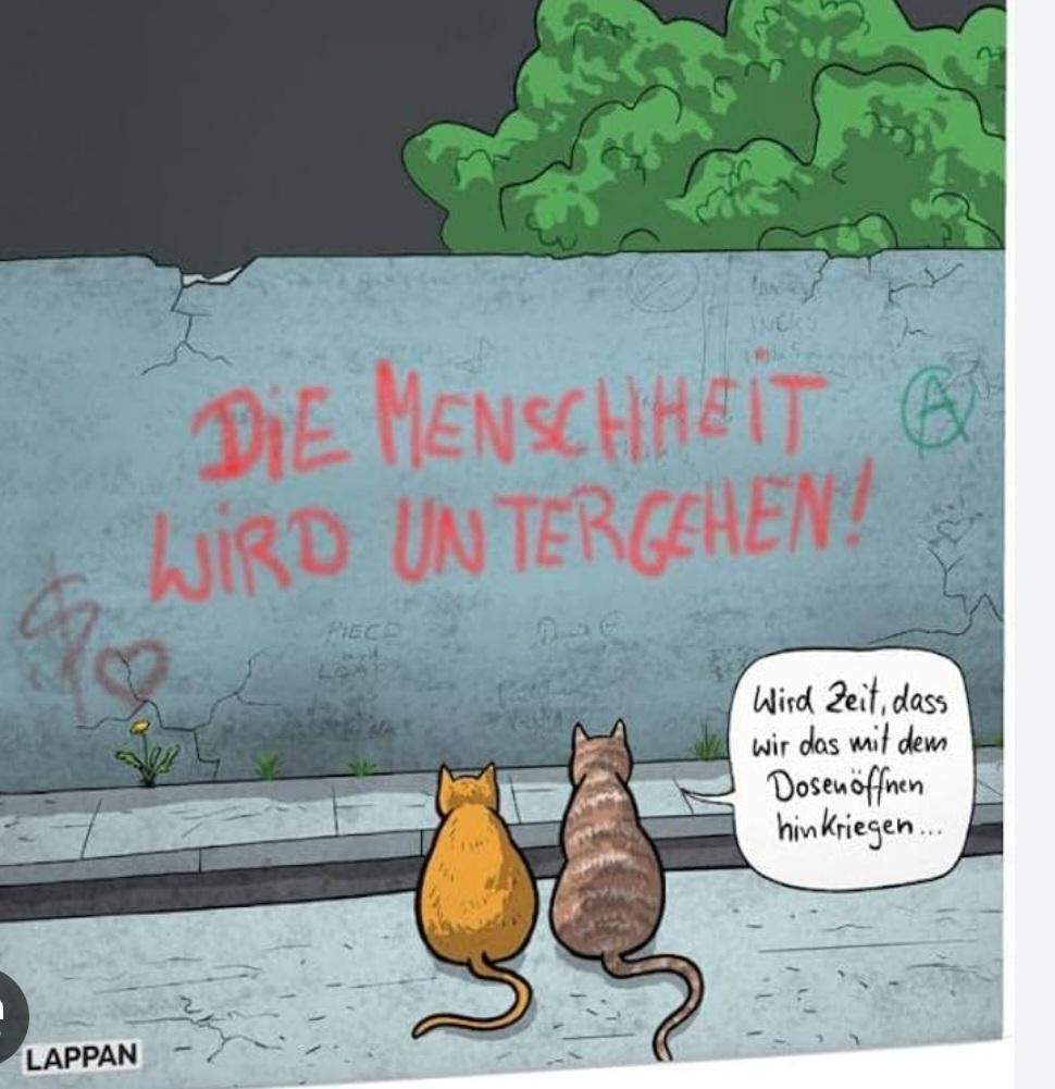 Findet ihr Catoons auch lustig? (Freizeit, Menschen, Film)