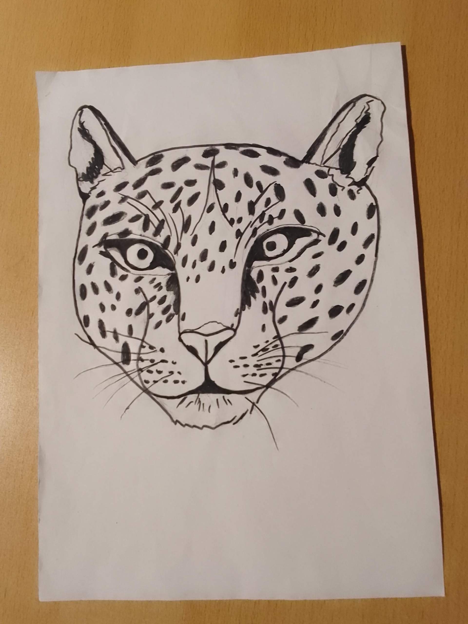 Findet ihr das Bild für den Anfang gut? (Bilder, zeichnen, malen)