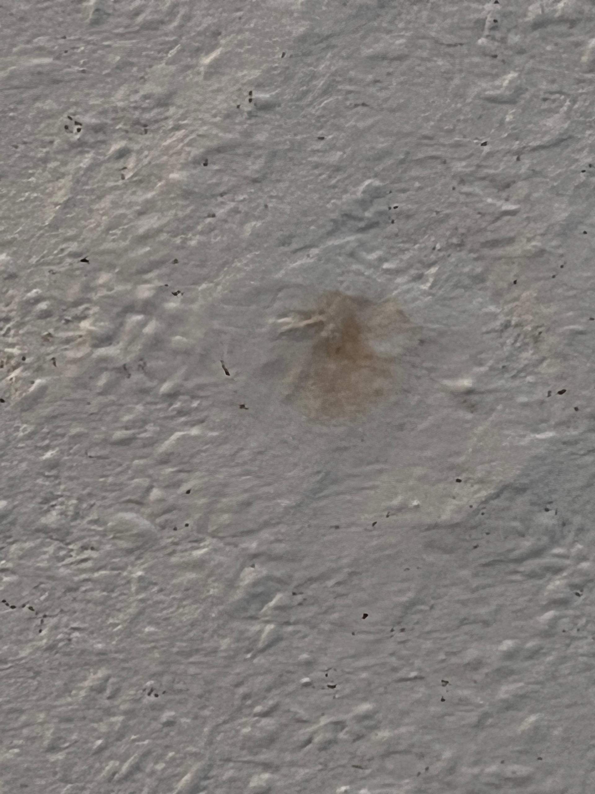 Fleck an der Decke und Lampe geht nicht? (Elektronik, Strom, Elektrizität)