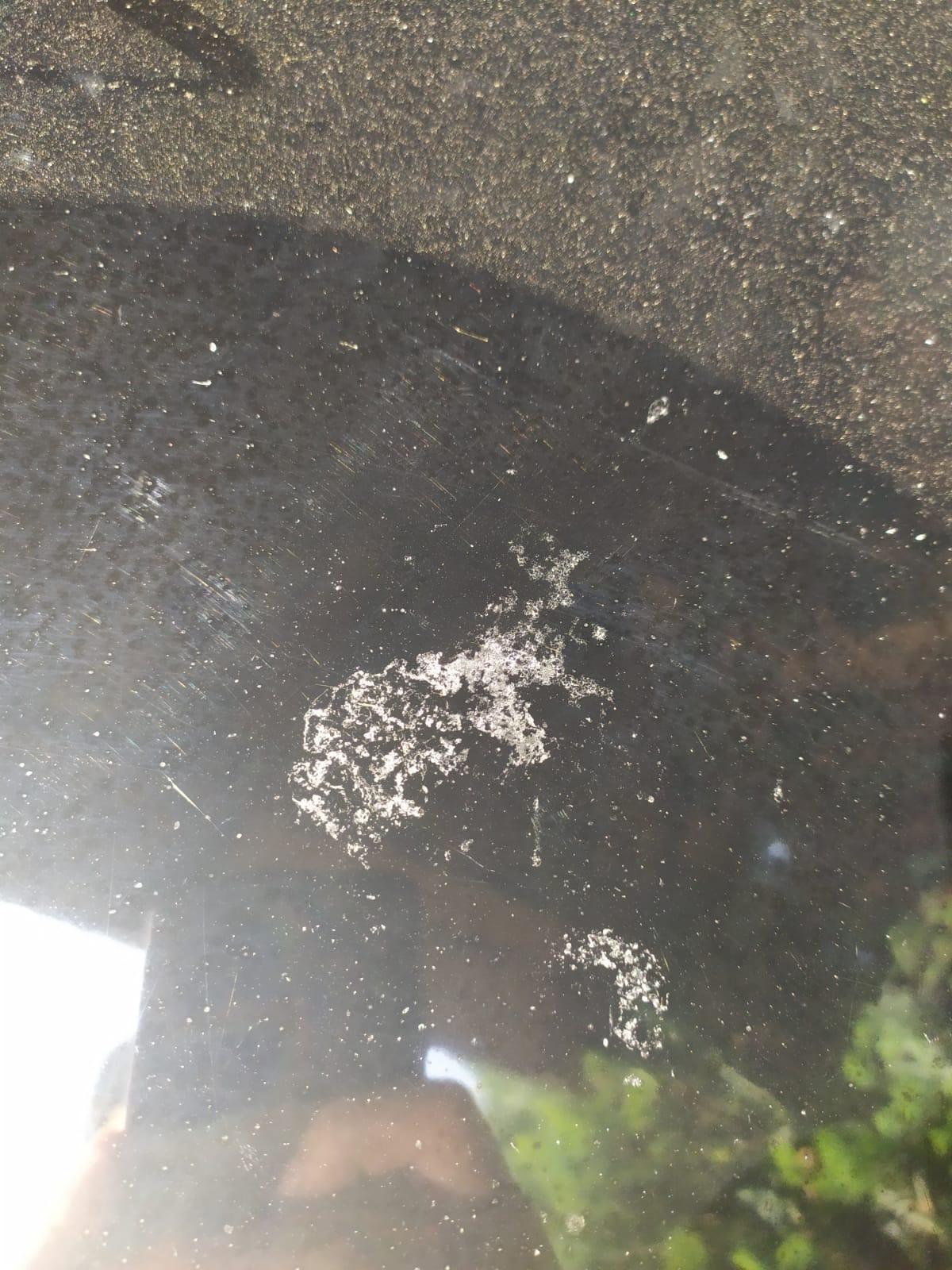 Flecken auf Autolack? (Computer, Auto, Schaden)