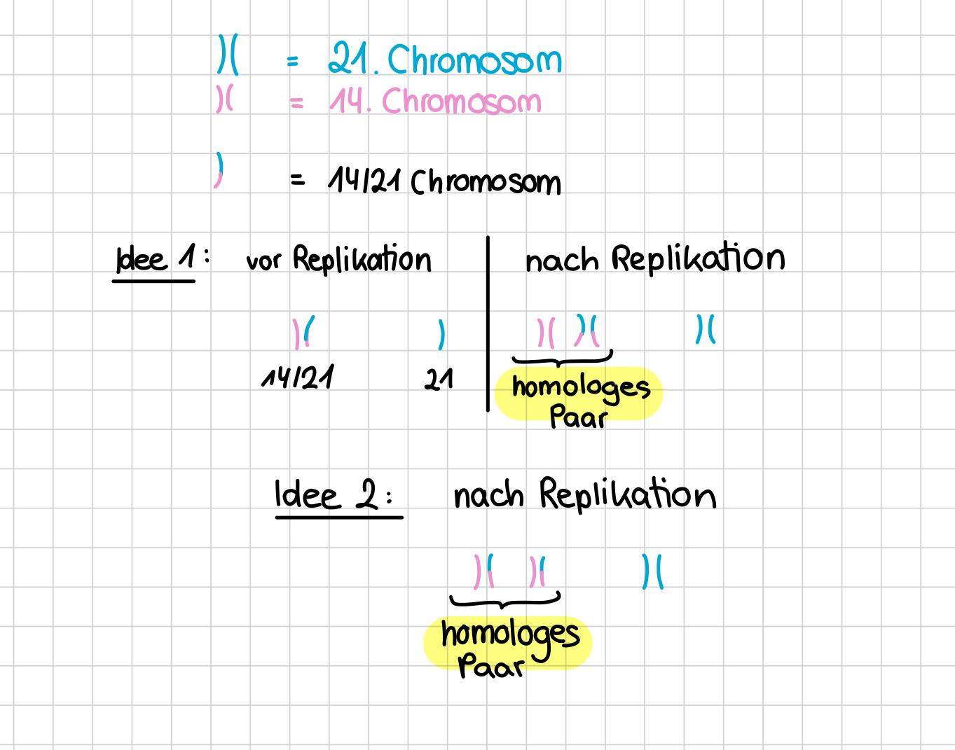 Frage zur Replikation? (Genetik, Bio, DNA)
