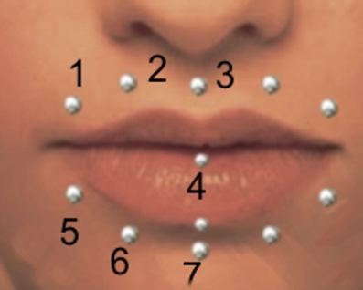 Fragen zu Lippenpiercing (Labret) ? (Piercing, Schmuck, Körperschmuck)