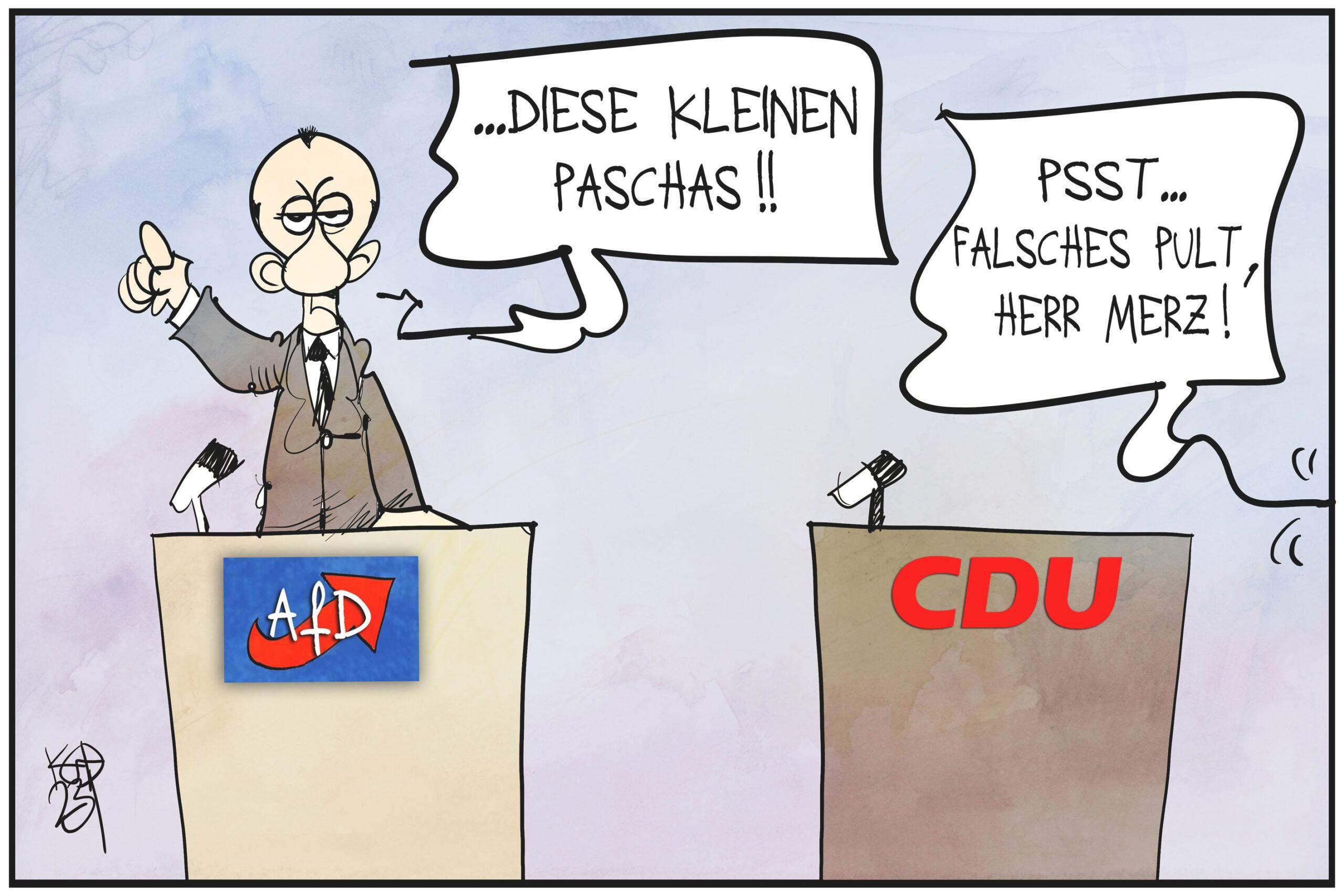 Friedrich Merz abschieben? (Schule, Politik, Deutschland)