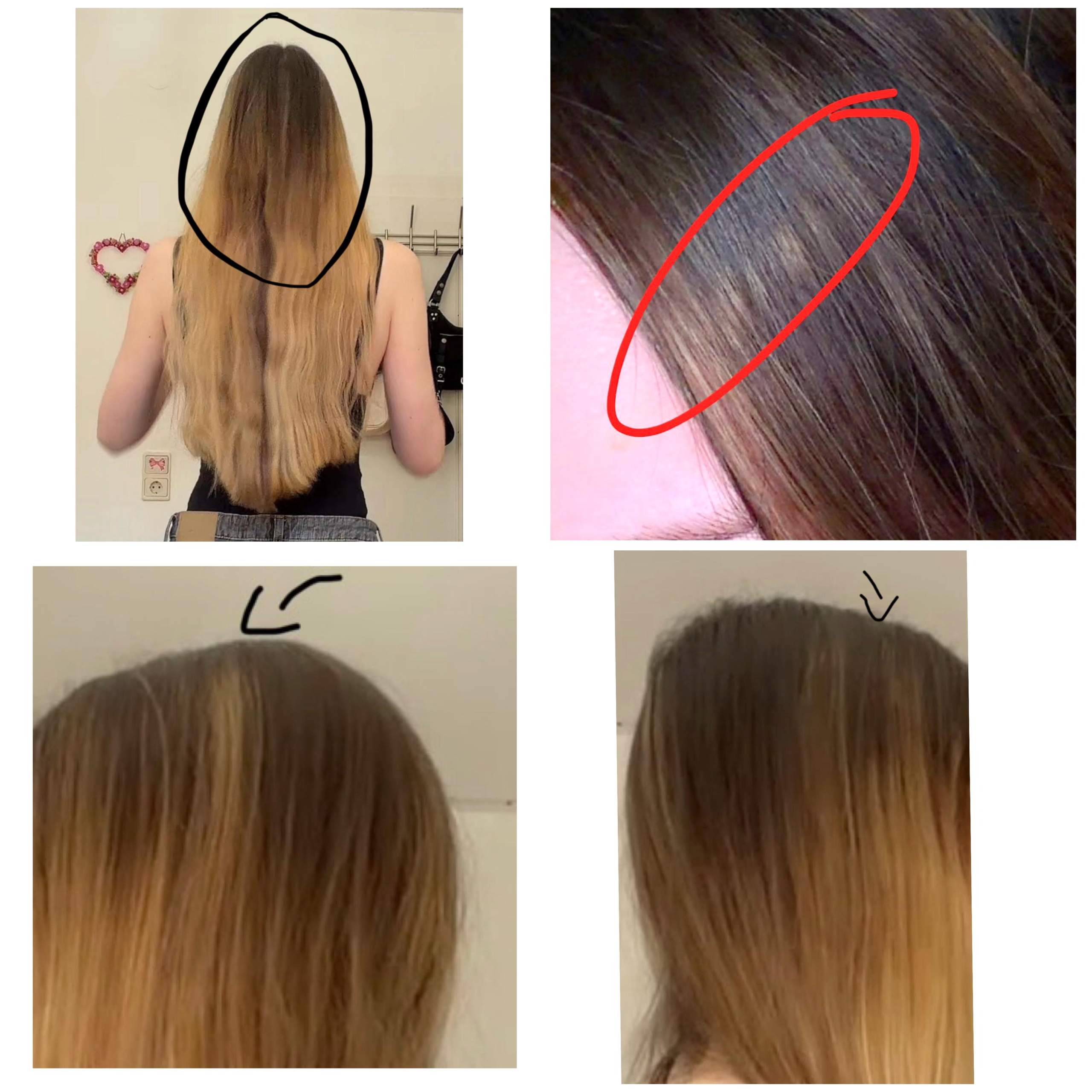 Frisör hat Haare zerstört. Welche Rechte habe ich? (Recht, Aussehen, Style)