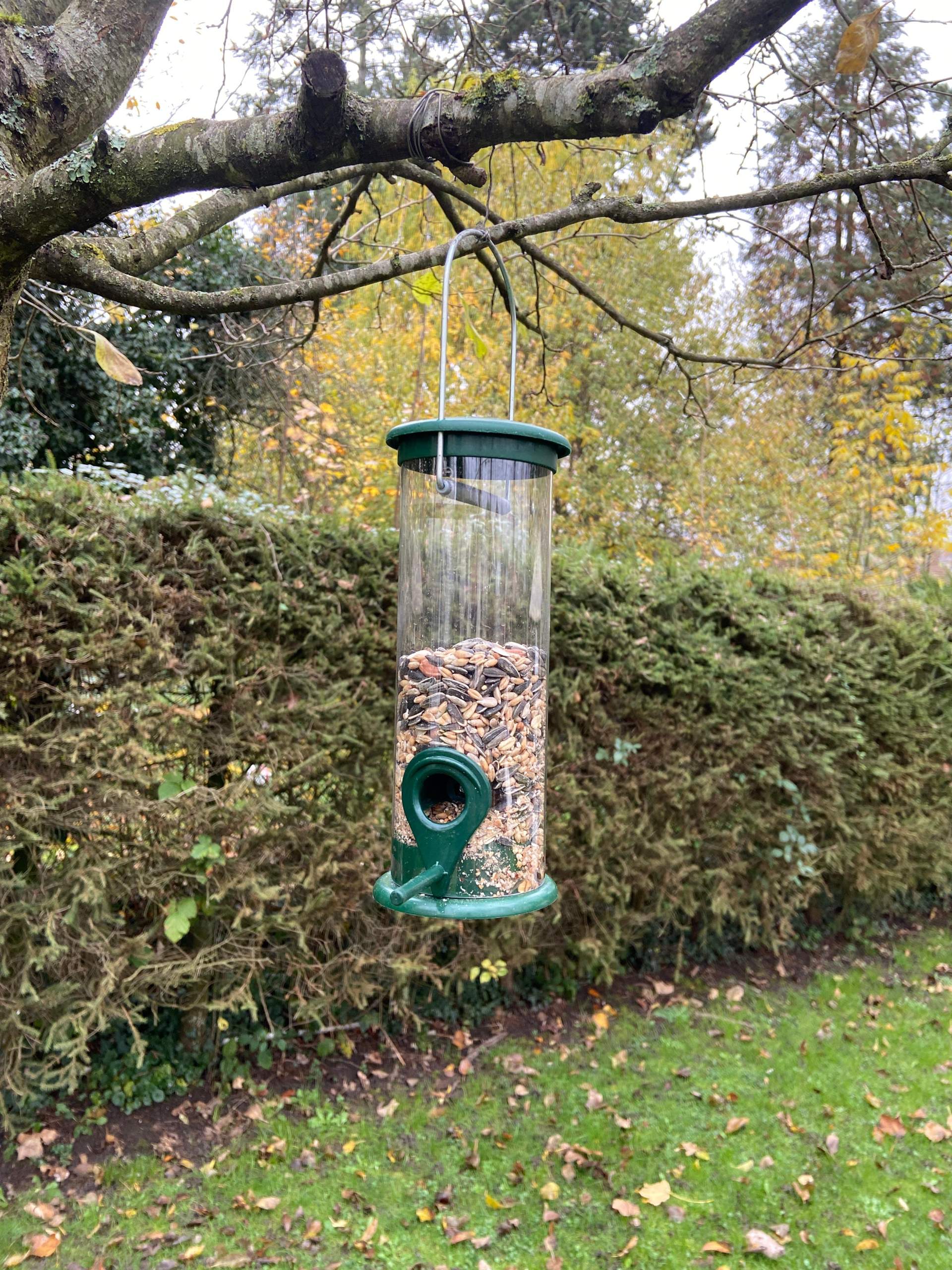 Futter fällt aus Futterspender für Vögel raus, wie habt ihr das Problem ...