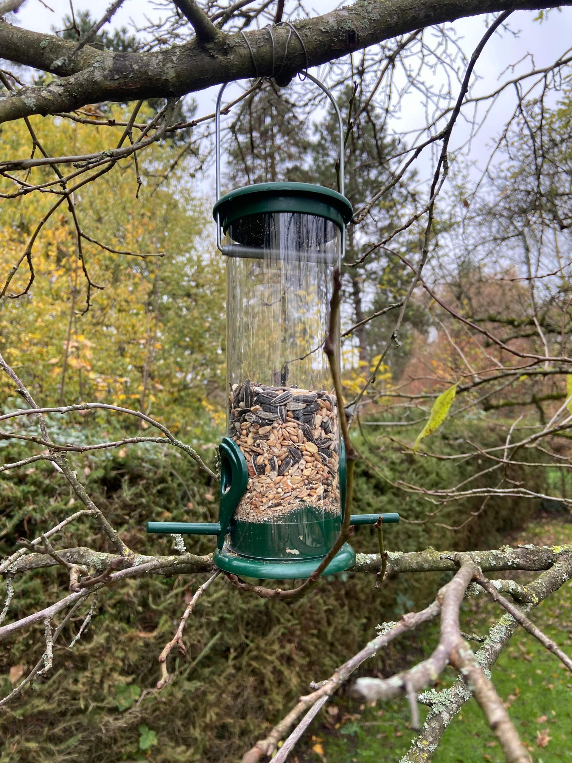 Futter fällt aus Futterspender für Vögel raus, wie habt ihr das Problem ...