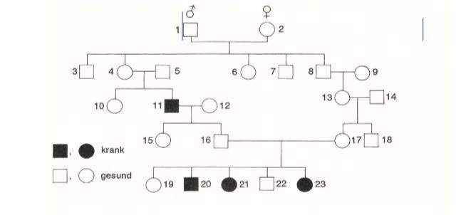 Genotype bestimmen Albinismus? (Genetik, Biologieunterricht)
