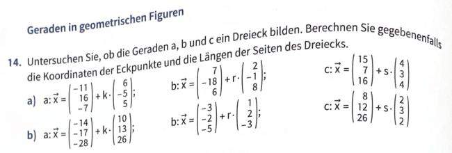 Geraden in geometrischen Figuren? (rechnen, Funktion, Gleichungen)