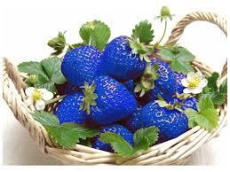 Gibt es wirklich blaue Erdbeeren? (Ernährung, essen, Pflanzen)