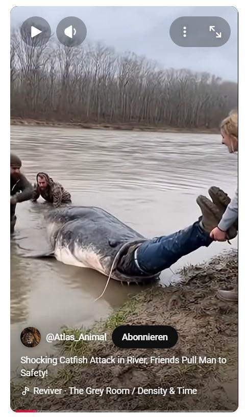 Glaubt Ihr, dass das wirklich einem Erwachsenen passieren kann? (Menschen, YouTube, Video)
