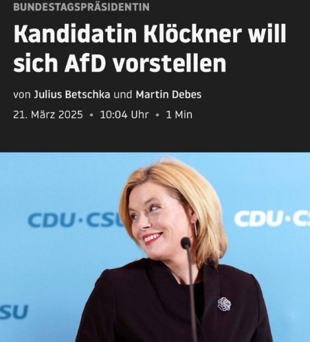 Glaubt ihr, die hätte auch nur den Hauch einer Chance bei der AfD? (Deutschland, Zukunft)