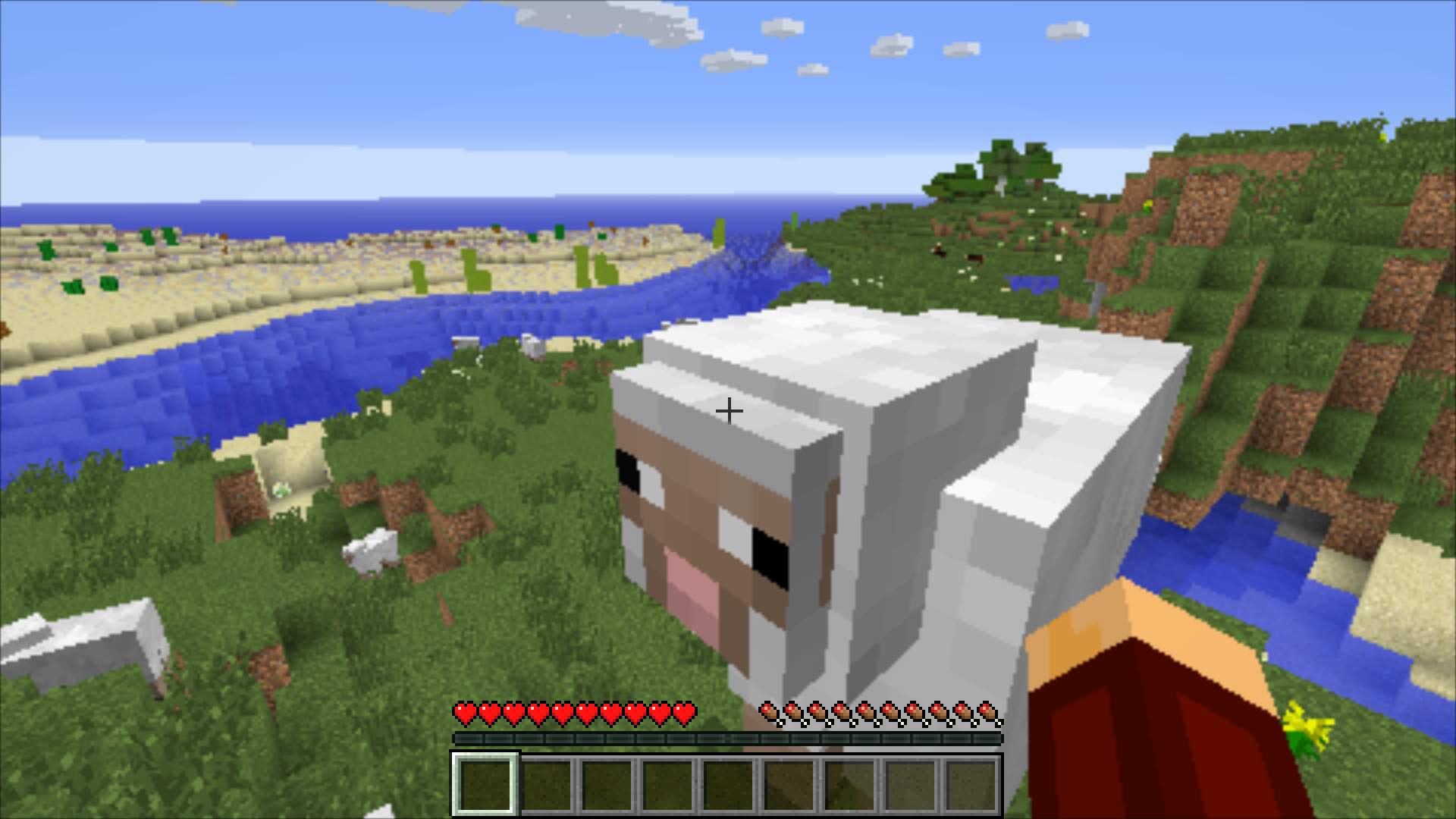 Großes Minecraft Anti-Aliasing Problem! (Computerspiele, Grafikkarte ...