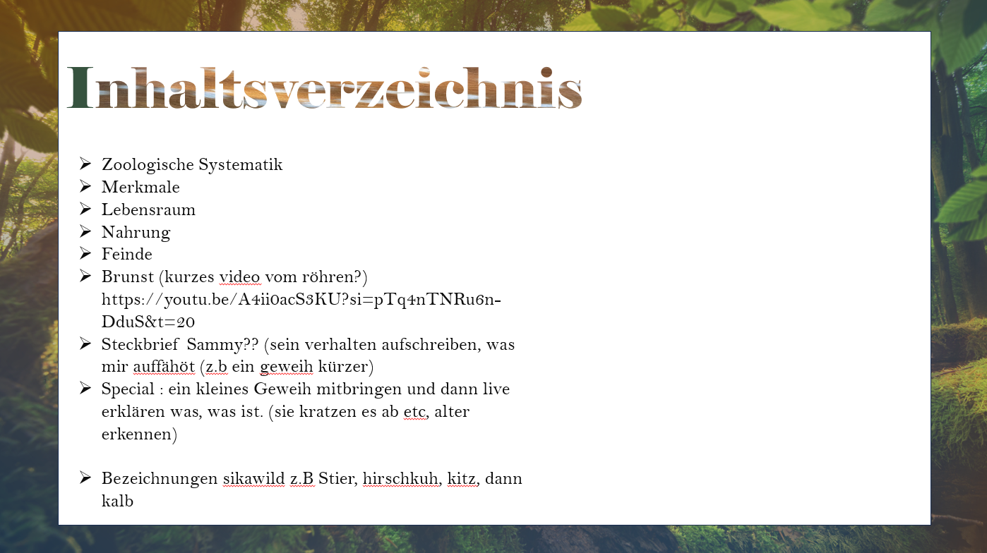 gutes Inhaltsverzeichnis für eine Powerpoint? (Schule, Unterricht ...