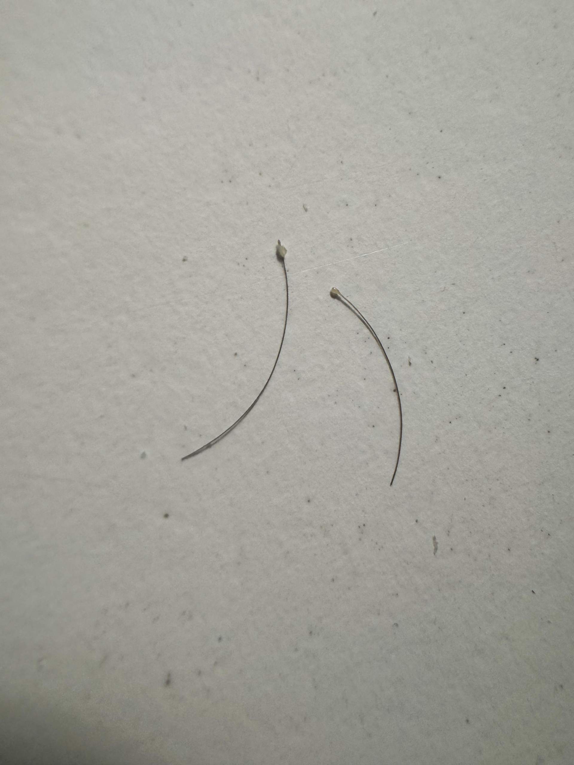 Haarausfall männer? (Pflege, Haarpflege, duschen)