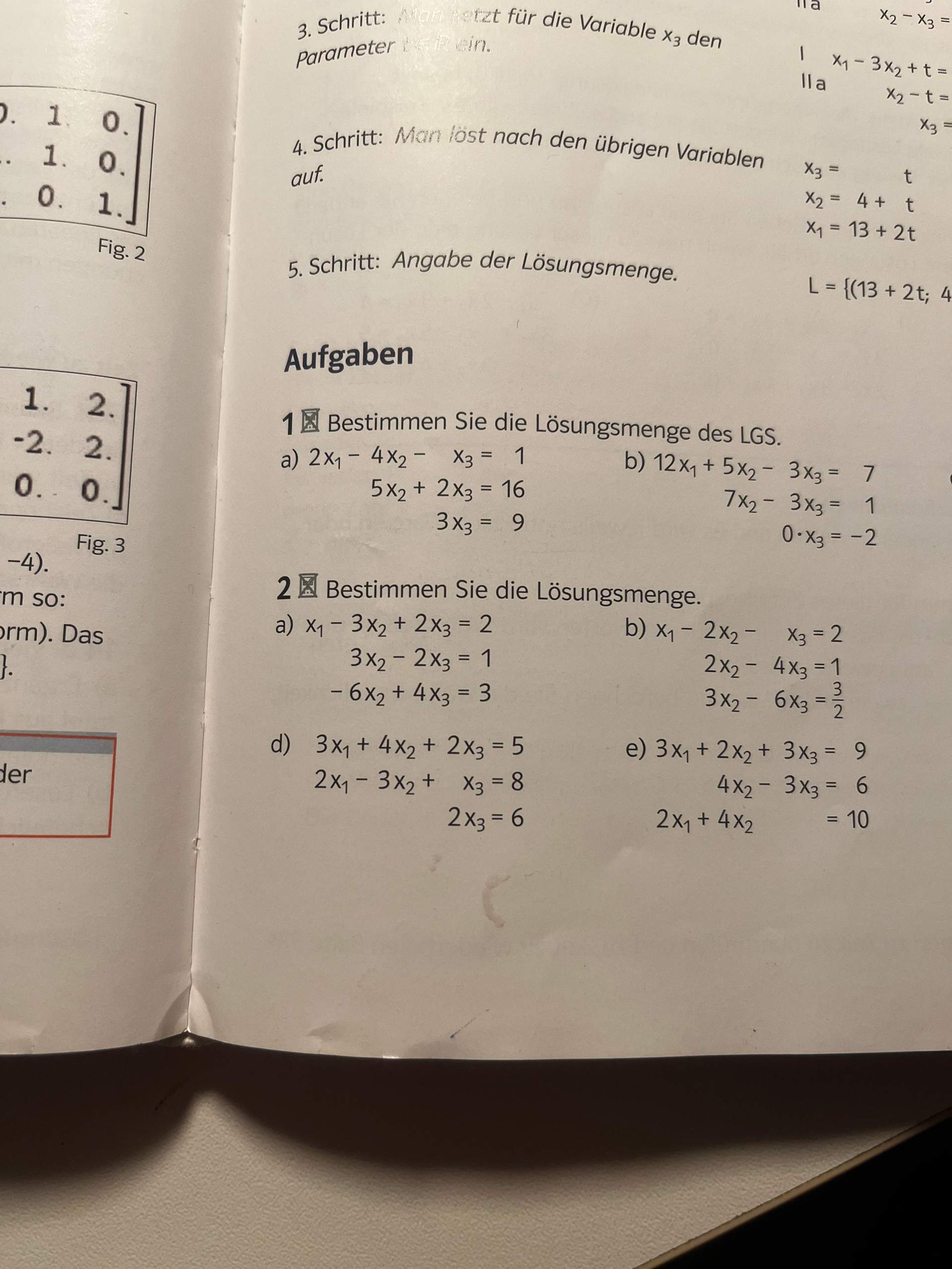 Habe ich die Lösungsmenge richtig bestimmt? (Mathematik, lineare ...
