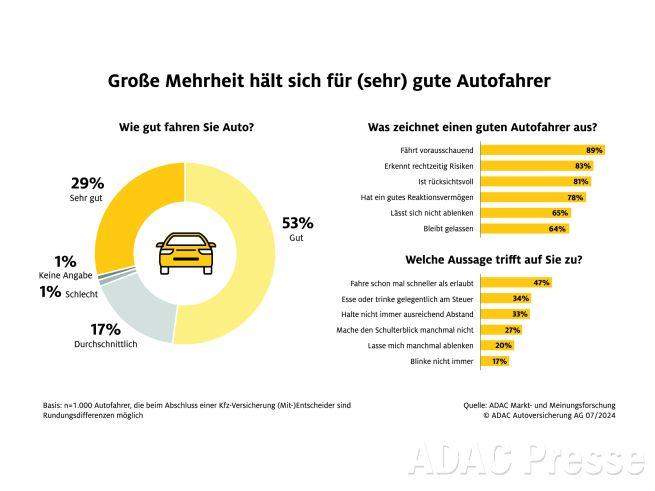 Hältst du dich für einen guten Autofahrer? (Schule, Auto, Führerschein)