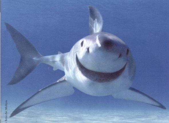 Drehscheibe Online Foren :: 03/02 - Bild-Sichtungen :: Sieht ja irre ...