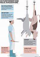 Halal Fleisch? (Islam, Muslime, Koran)